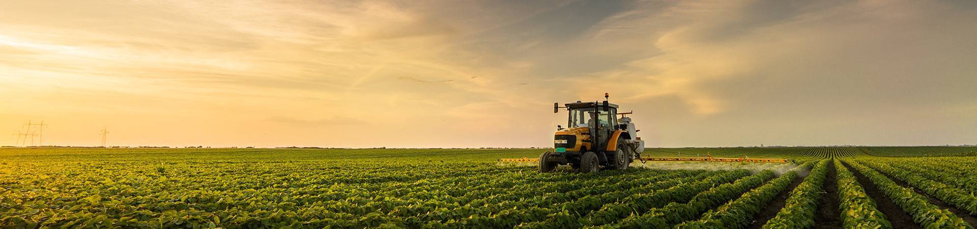 Easygoing agricultural loans - Agro Loans - Araratbank